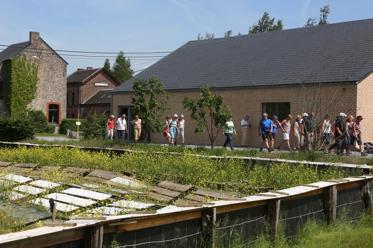 Escargotière de Warnant