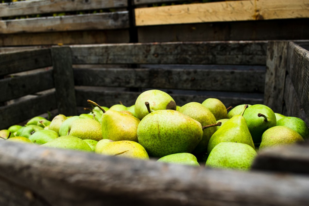 Siroperie Artisanale d'Aubel